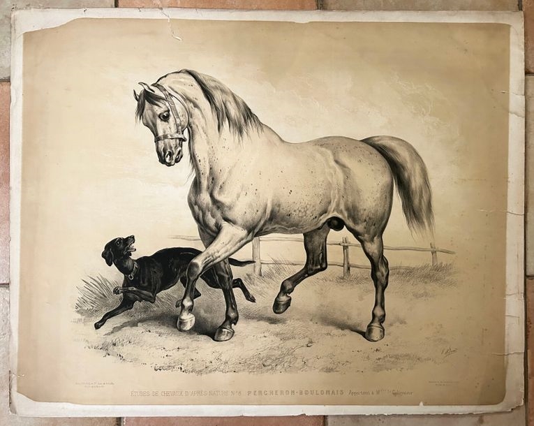 Victor Adam | PERCHERON-BOULONAIS (19th Century) | MutualArt