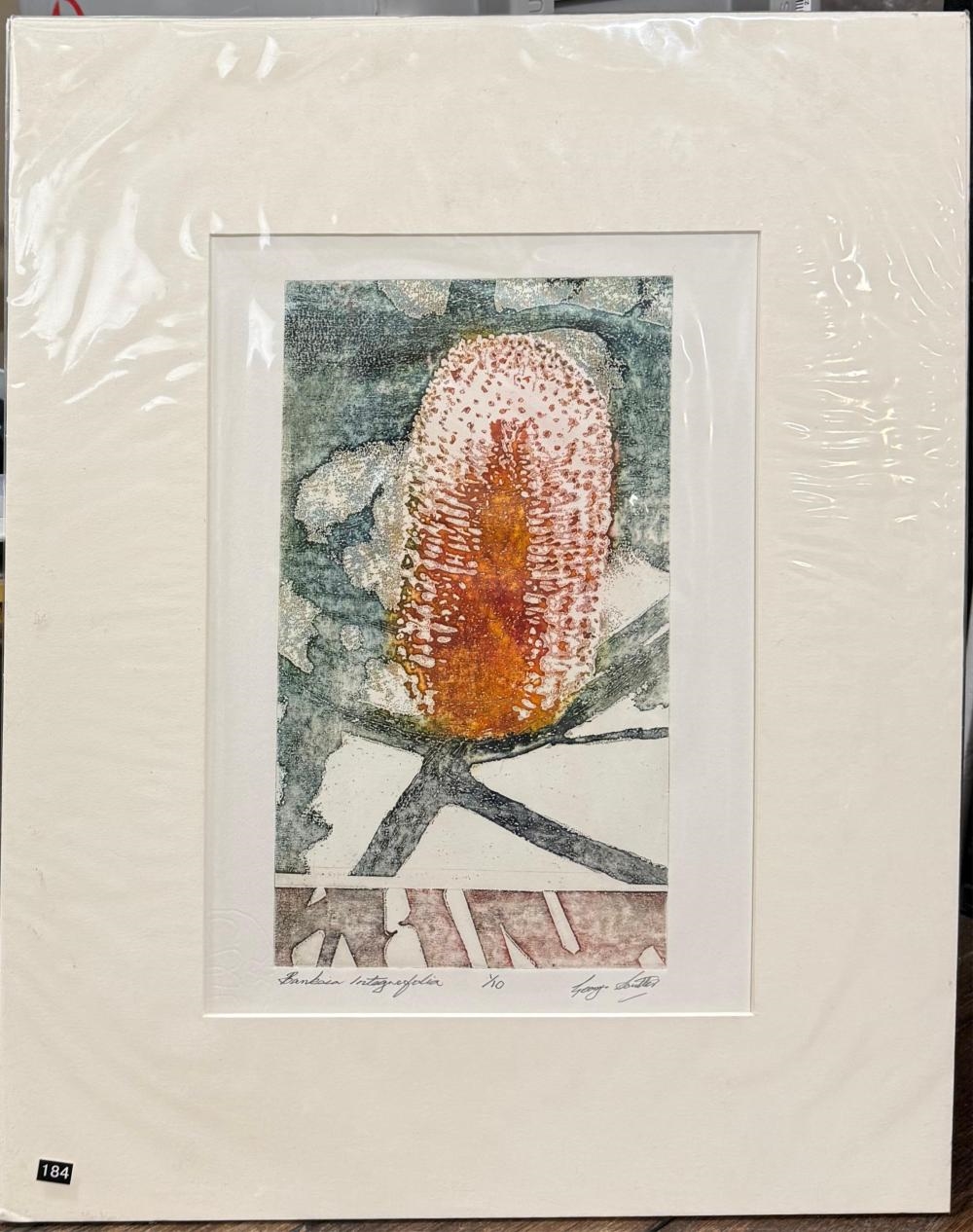 George Soutter | Banksia Integrofolia | MutualArt