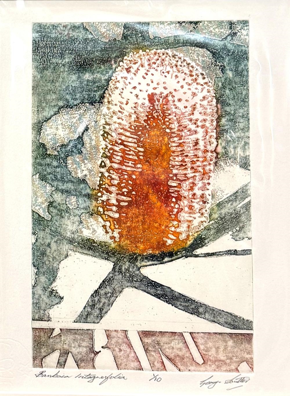 George Soutter | Banksia Integrofolia | MutualArt