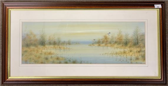 Stephen Francis Allen | Mallard alighting over water (92) | MutualArt