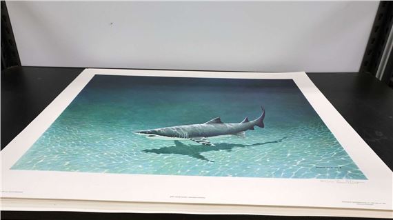 Richard Ellis | Nurse Shark | MutualArt