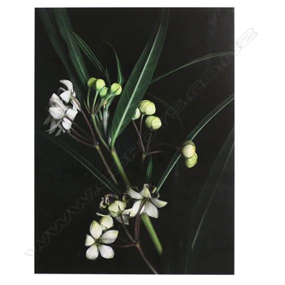 Jane Ussher | unique floral image | MutualArt