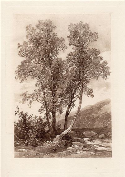 James Duffield Harding | Study of Ash Trees (1883) | MutualArt