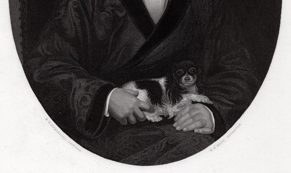 Henry William Pickersgill | Henry William PICKERSGILL 1800s Engraving ...