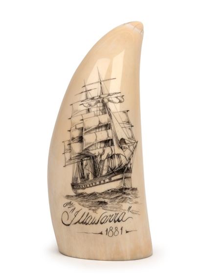 Gary Tonkin | THE ILLAWARRA, 1881 | MutualArt