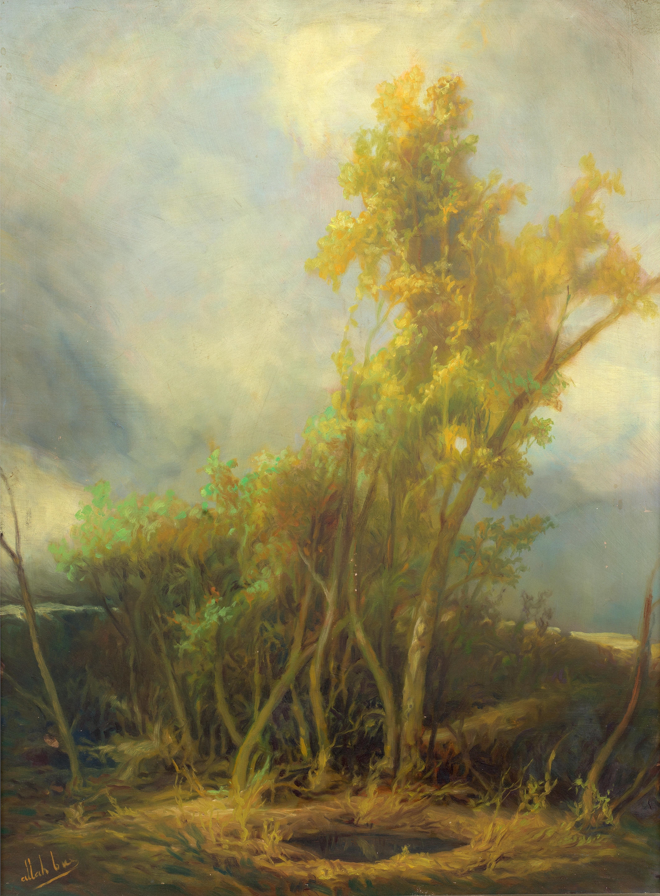Ustad Allah Bux | Untitled (Tree | MutualArt