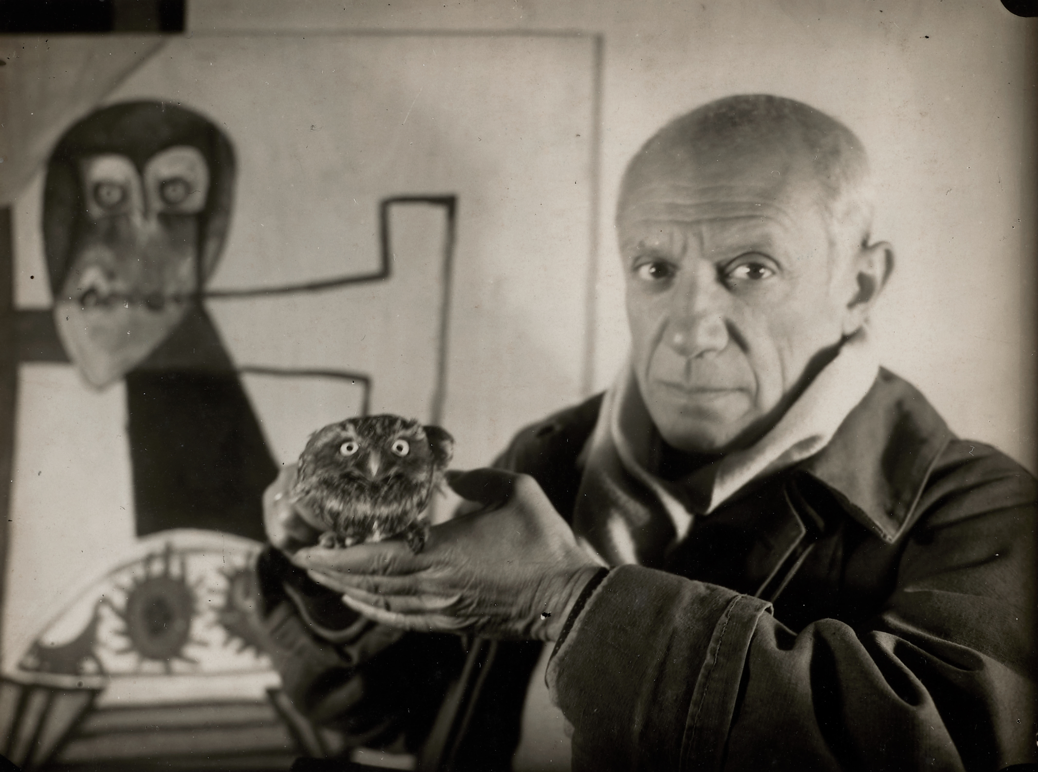 Michel Sima | Pablo Picasso avec sa chouette Ubu devant son tableau ...
