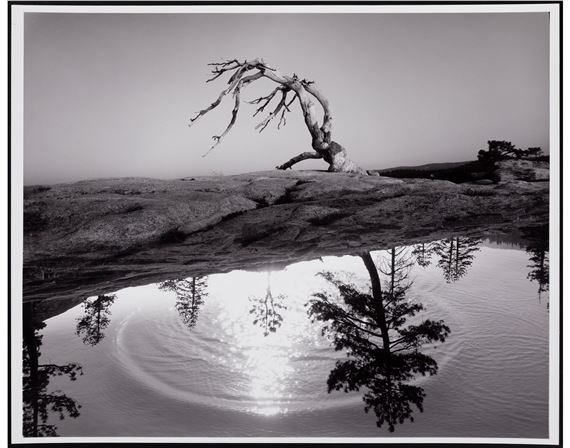 Jerry Uelsmann | Untitled (1992) | MutualArt