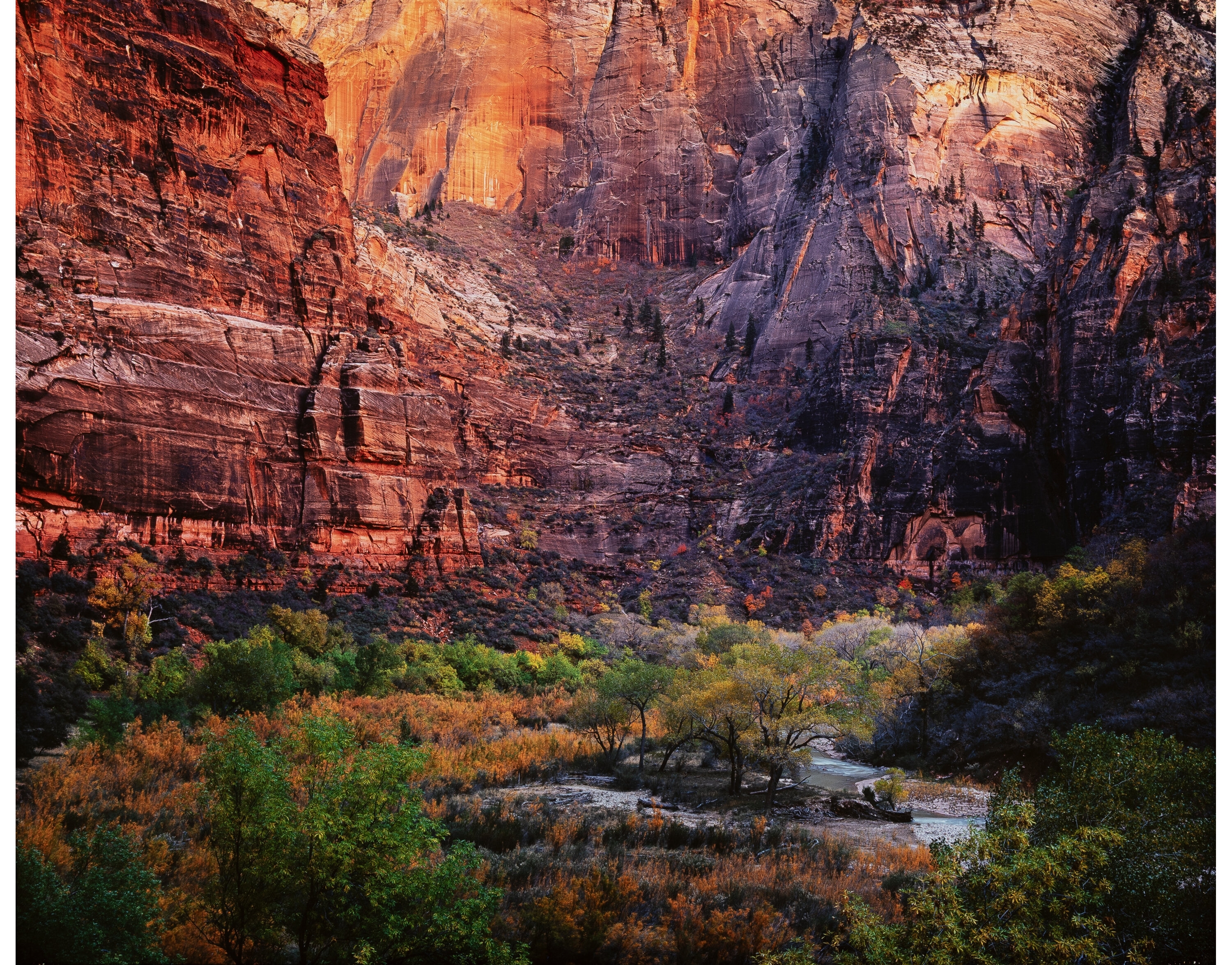 Christopher Burkett | Twilight, Virgin River at Zion Canyon | MutualArt