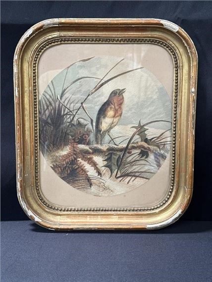 Robin | Signed framed watercolor of a robin perched | MutualArt