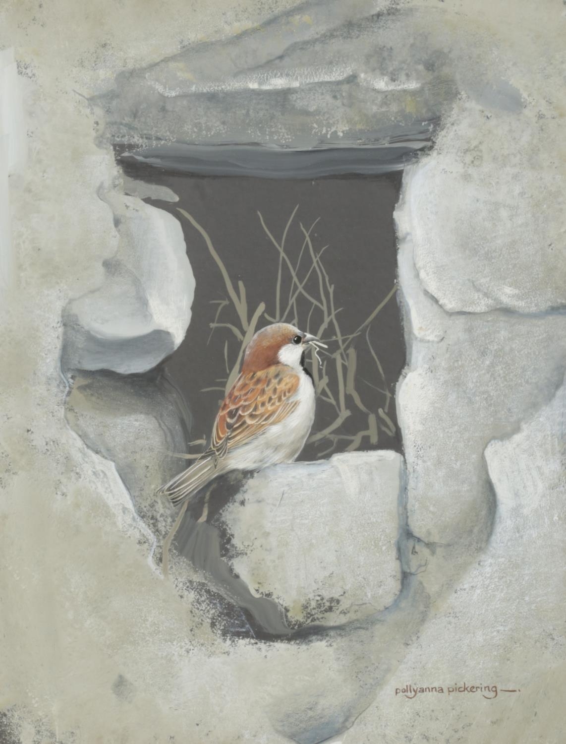 Pollyanna Pickering | study of a House Sparrow | MutualArt