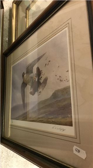 R. David Digby | 50 cm x 38 cm | MutualArt