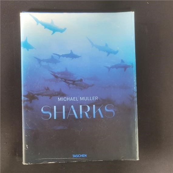 Michael Muller | Michael Muller Sharks coffee table book | MutualArt