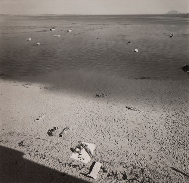 Harry Callahan | Cape Cod (1972) | MutualArt