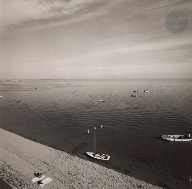 Harry Callahan | Cape Cod (1972) | MutualArt