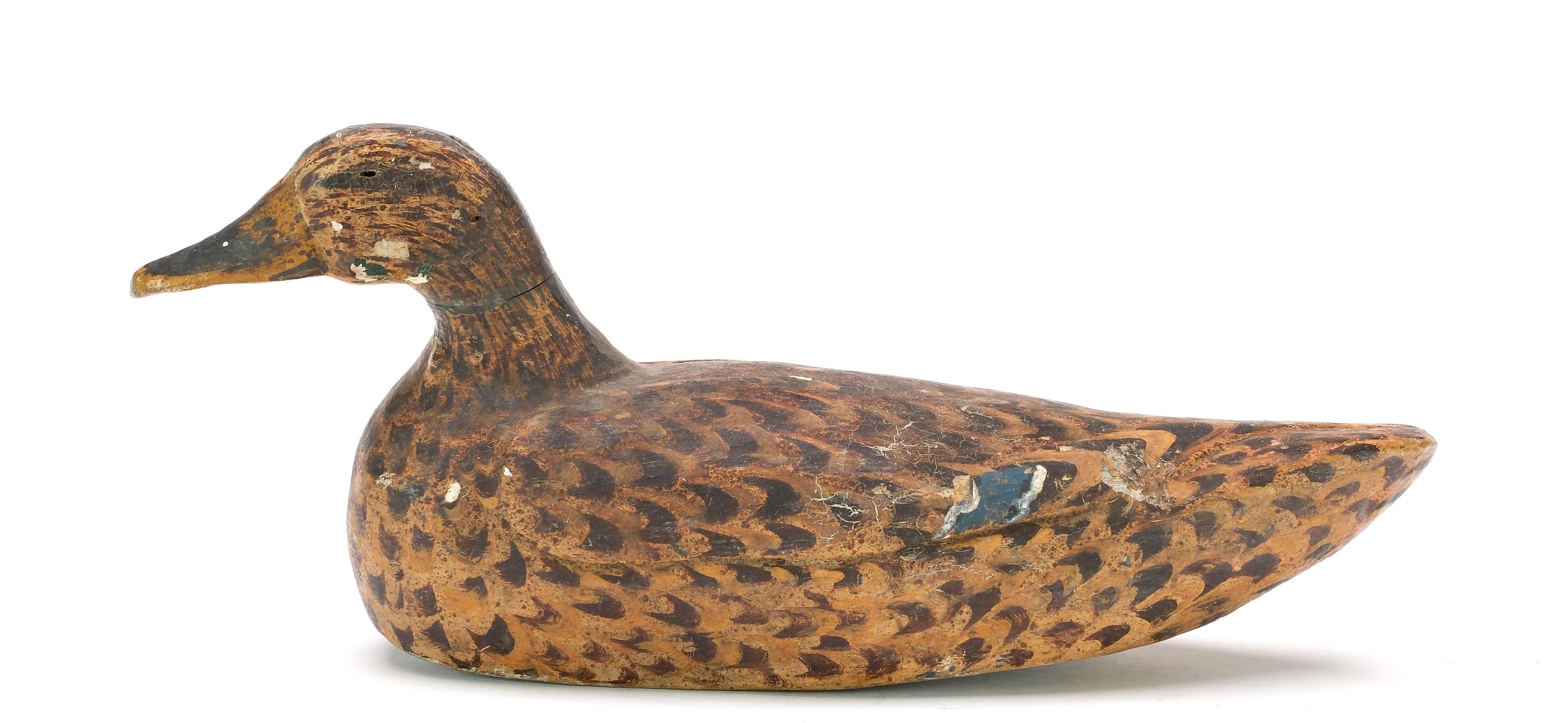 Francis Uzee | Mallard hen, in a swimming pose | MutualArt