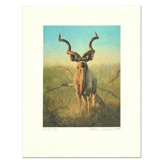 Peter Darro | Pronghorns | MutualArt