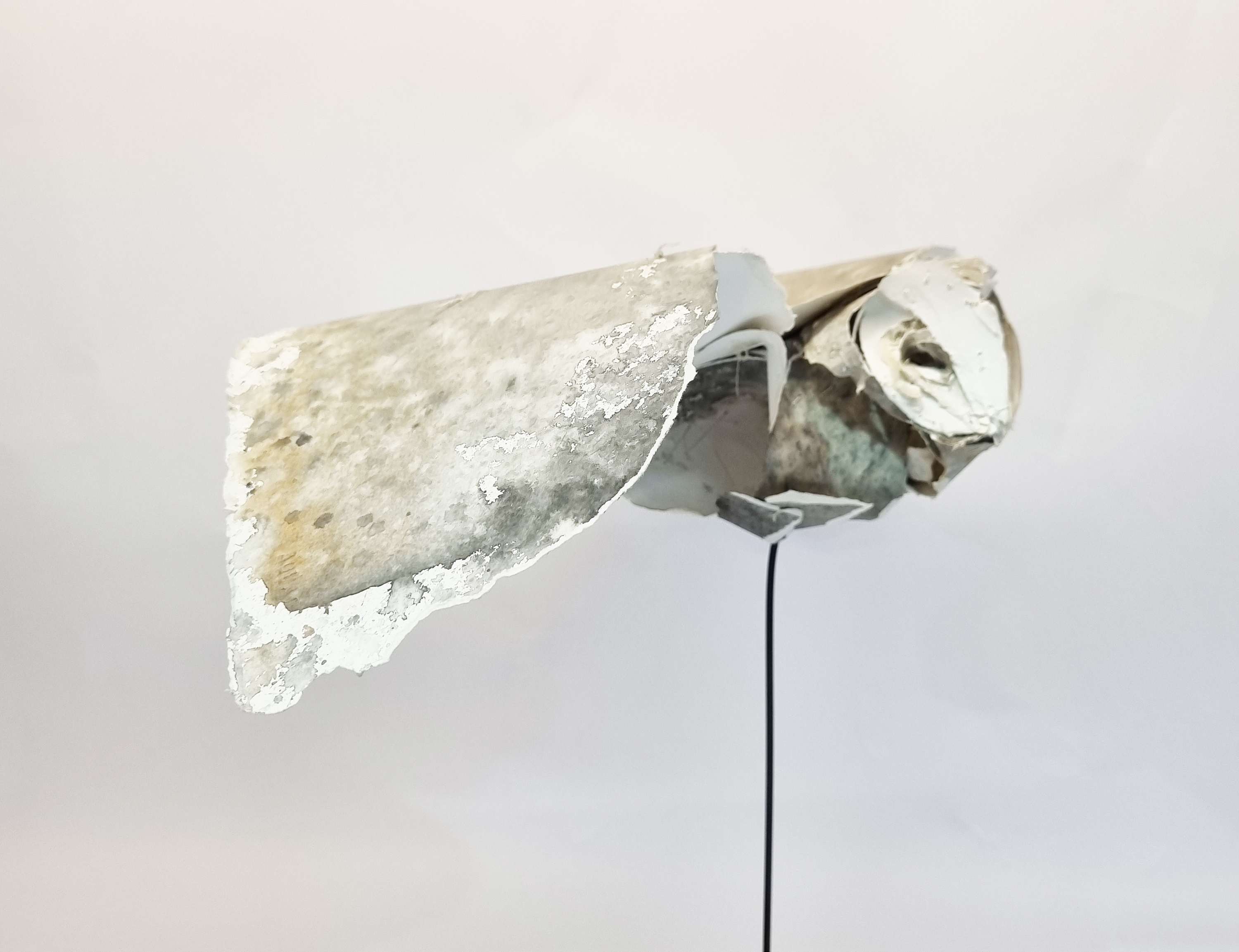Anna-Wili Highfield | Owl | MutualArt