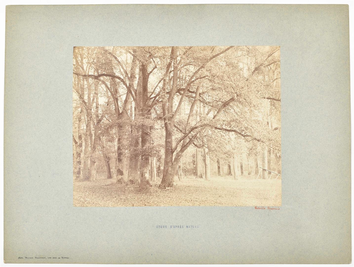 Achille Quinet | Étude d’Après Nature | MutualArt