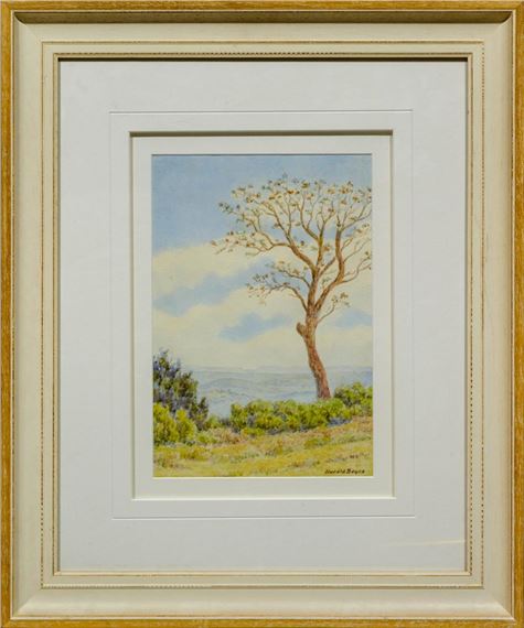 Harold Boyes | Cape Coastal Landscape | MutualArt