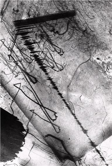 Milos Korecek | Moje ZOO, 1988 (1988) | MutualArt