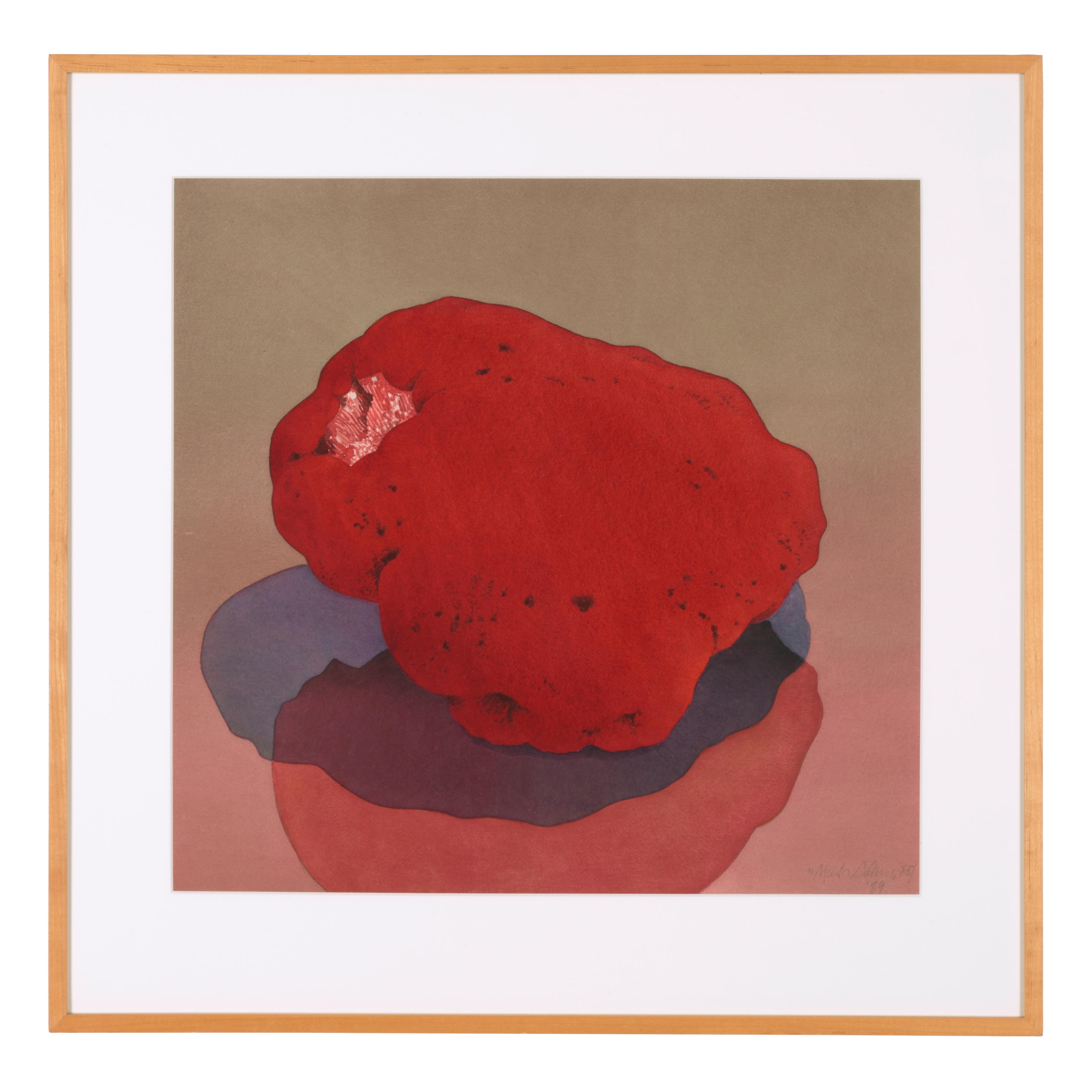 Mark Adams | Organ Pipe Coral (1985 - 1989) | MutualArt