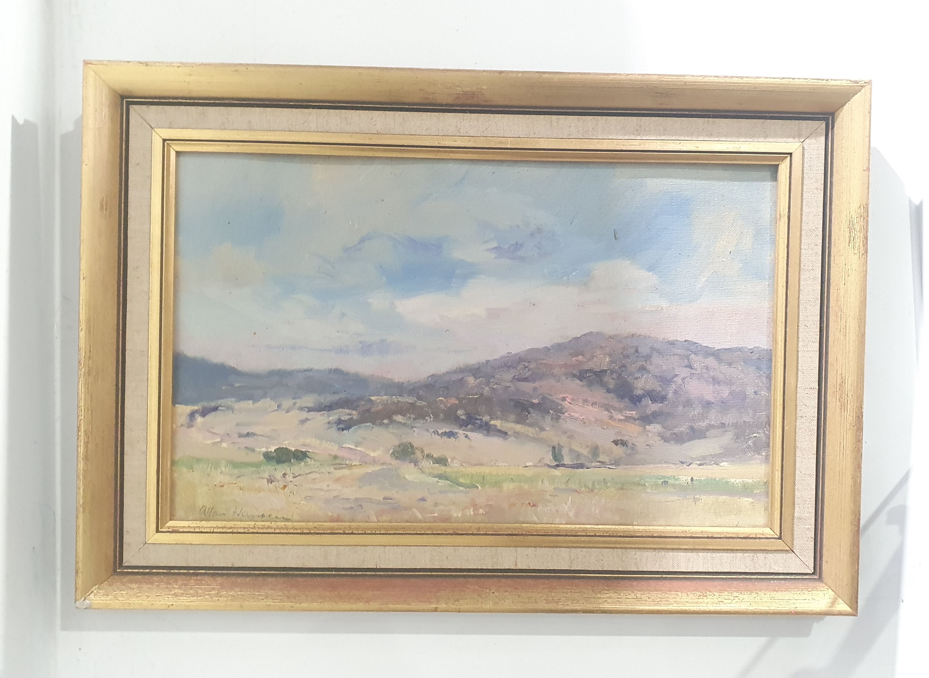 Allan Hansen | Southern Landscape | MutualArt