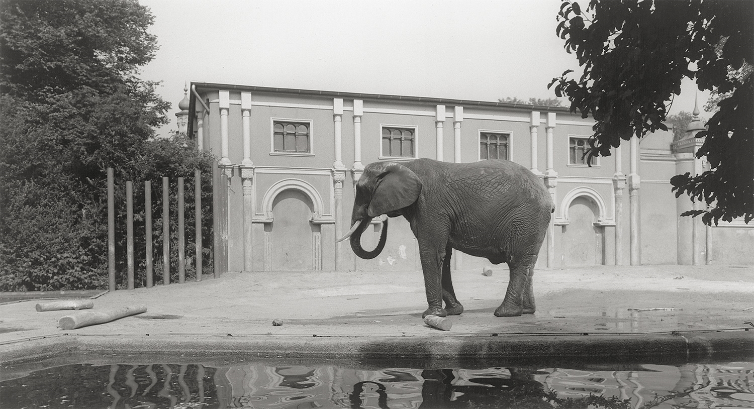 Candida Höfer | Zoologischer Garten, Köln (1991) | MutualArt