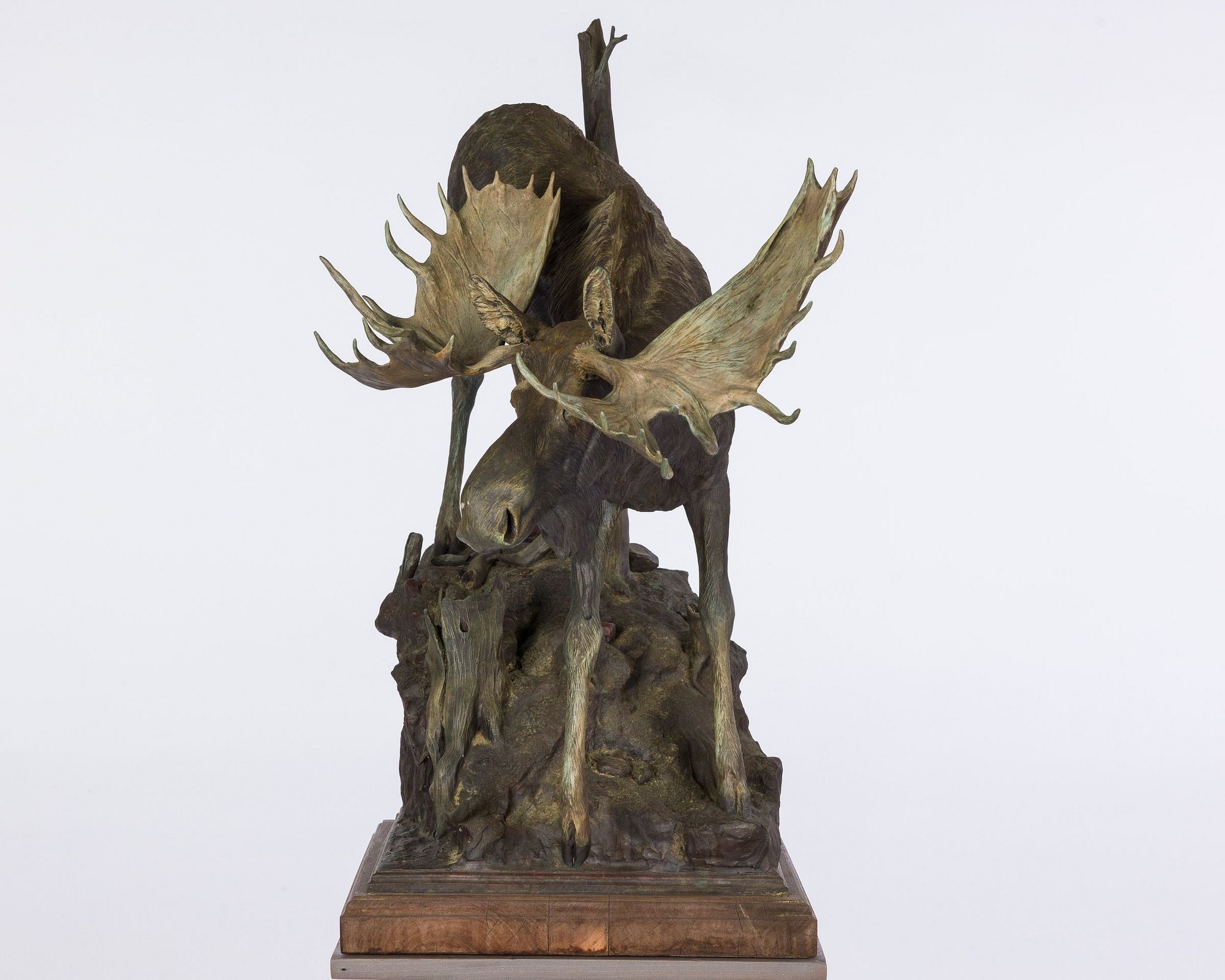 Sam Anton Terakedis | The Bull in the Burn (6) | MutualArt