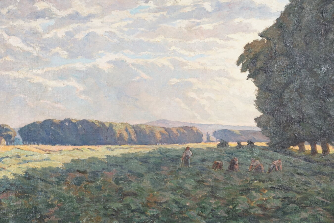 Pierre Agnes (1898-1964) | La pêche sur les bancs de sardines | MutualArt