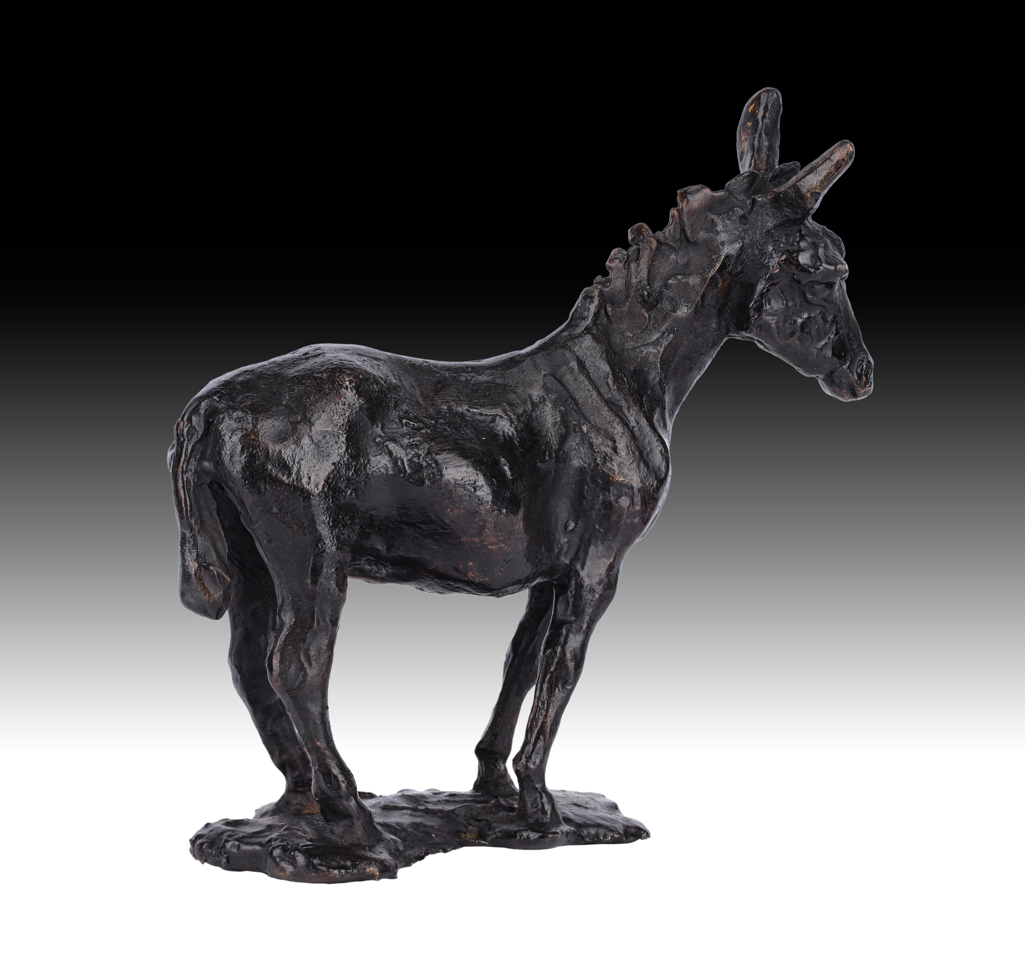 Siobhan Bulfin | Little Donkey | MutualArt