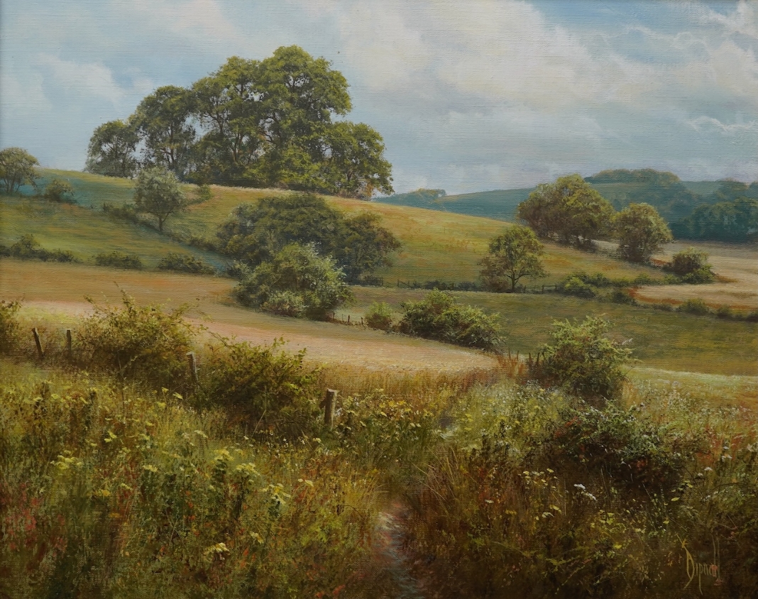 David Dipnall | The Path Through the Corn (1999) | MutualArt