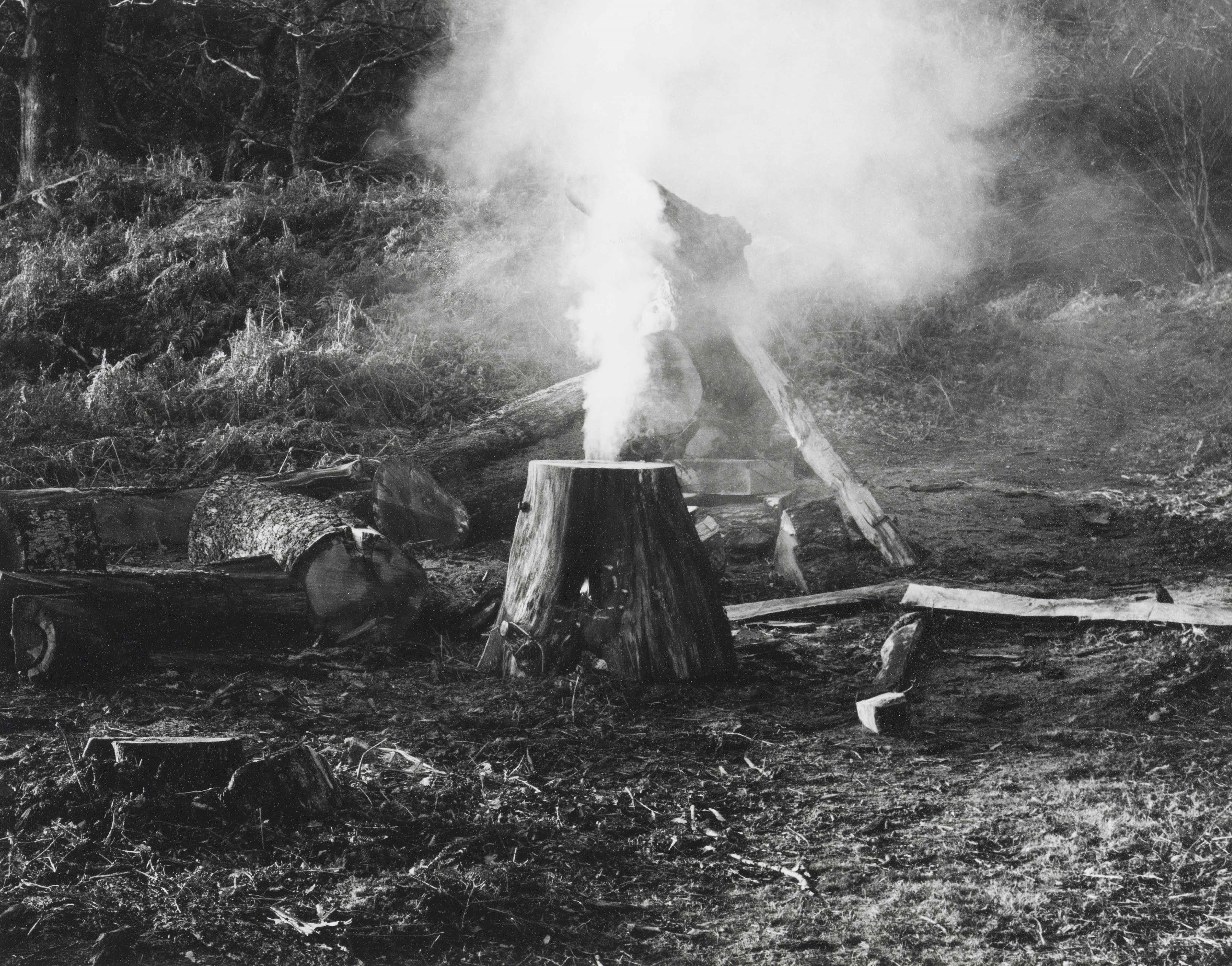 David Nash | Stoves (1998) | MutualArt