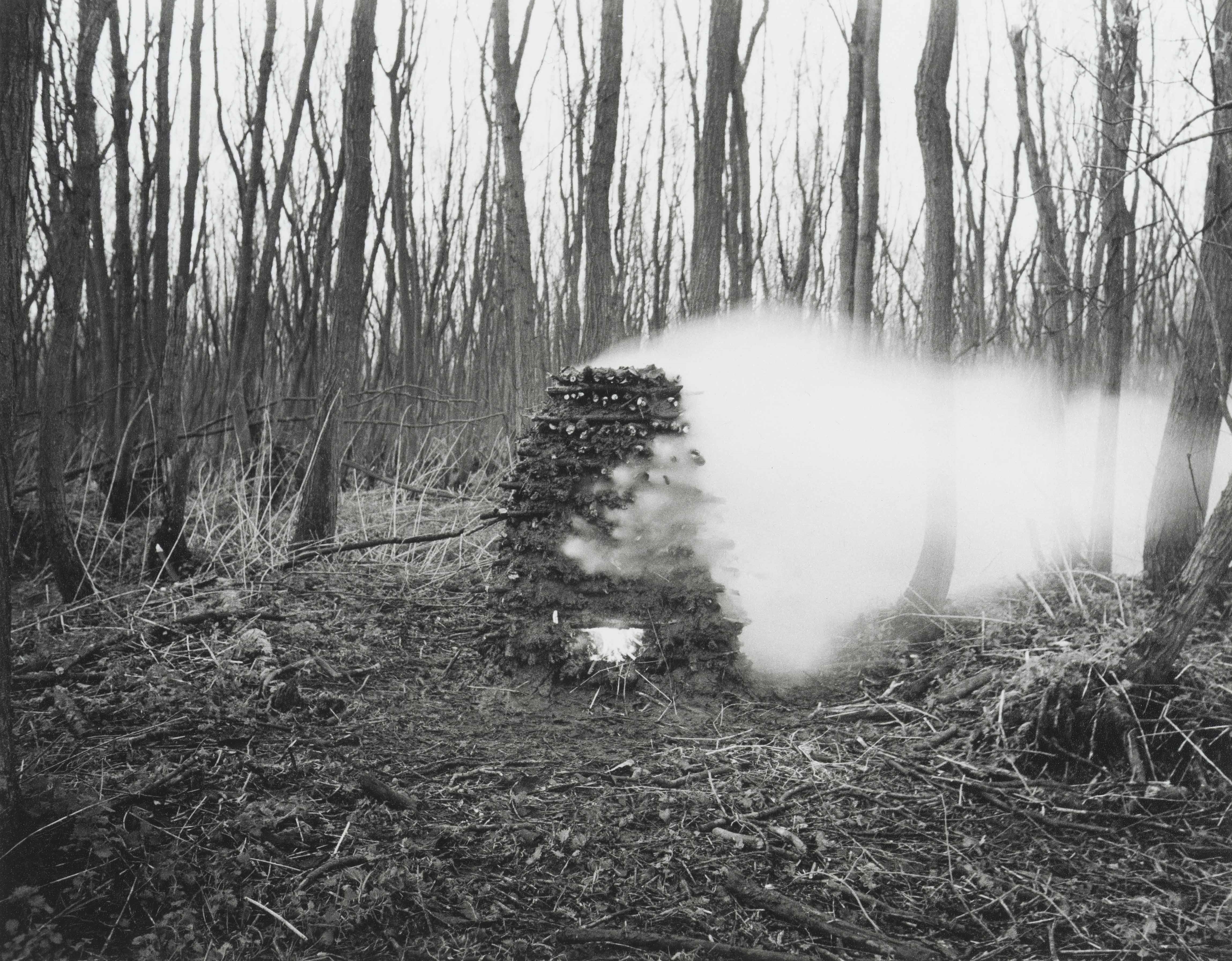 David Nash | Stoves (1998) | MutualArt