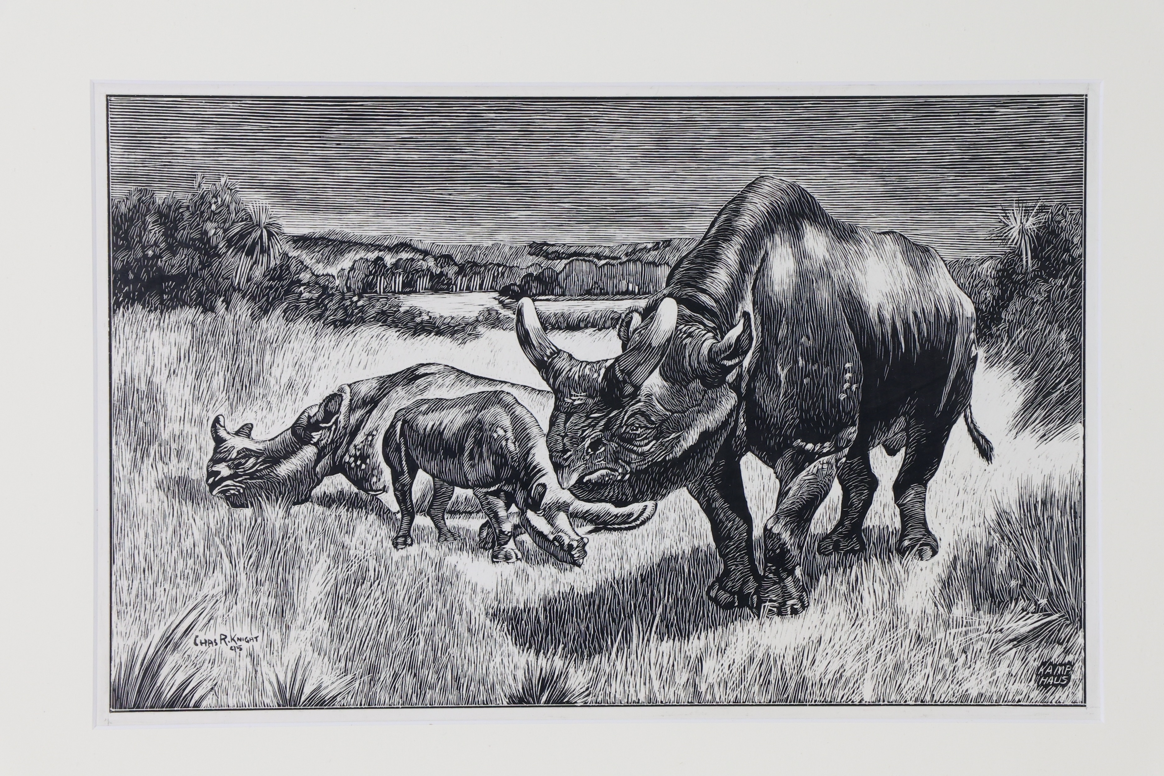 Charles R. Knight | The Largest of the Titanotheres, Brontotherium ...