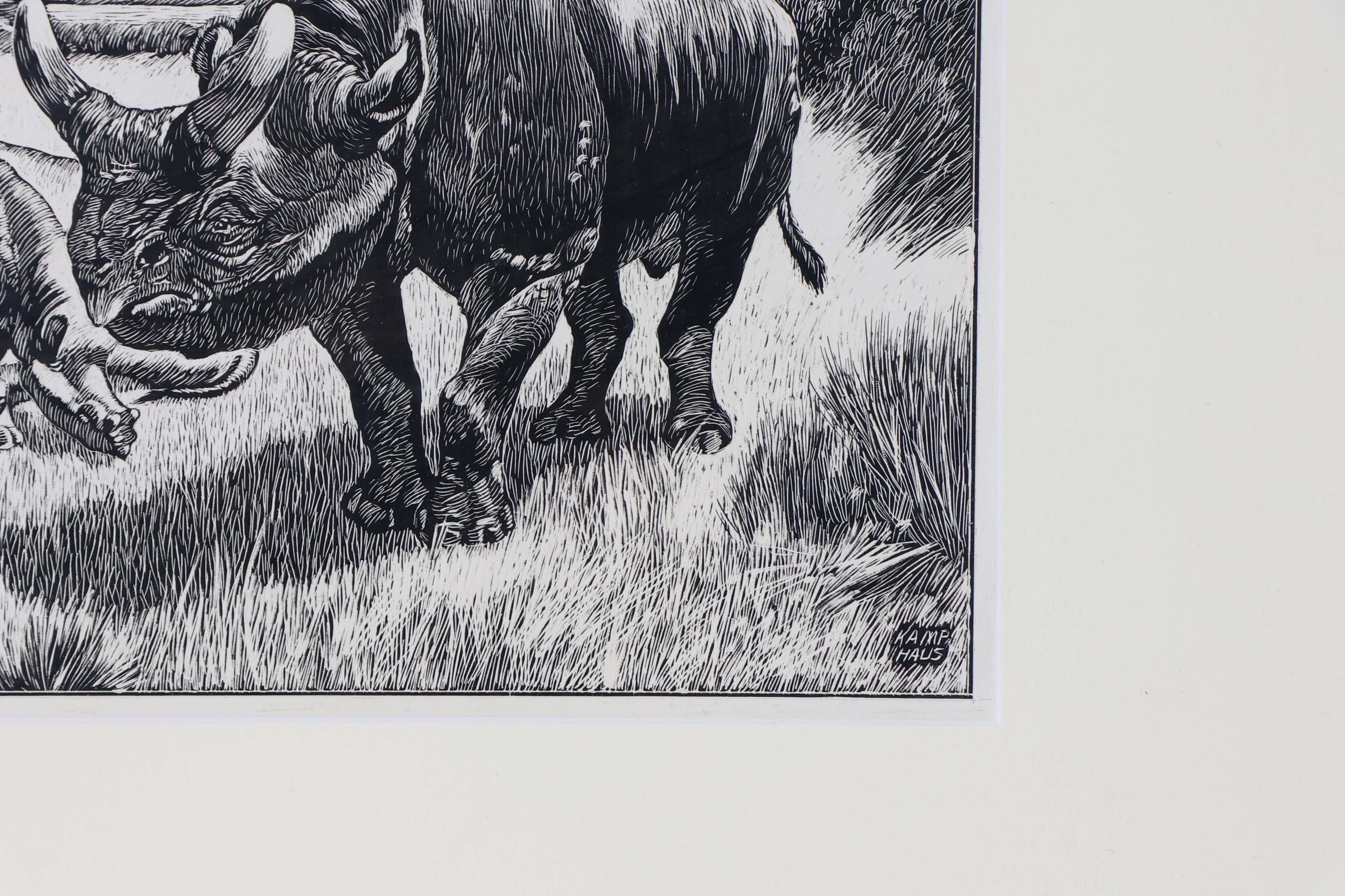 Charles R. Knight | The Largest of the Titanotheres, Brontotherium ...