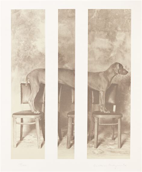 William Wegman | Charitable (1990) | MutualArt