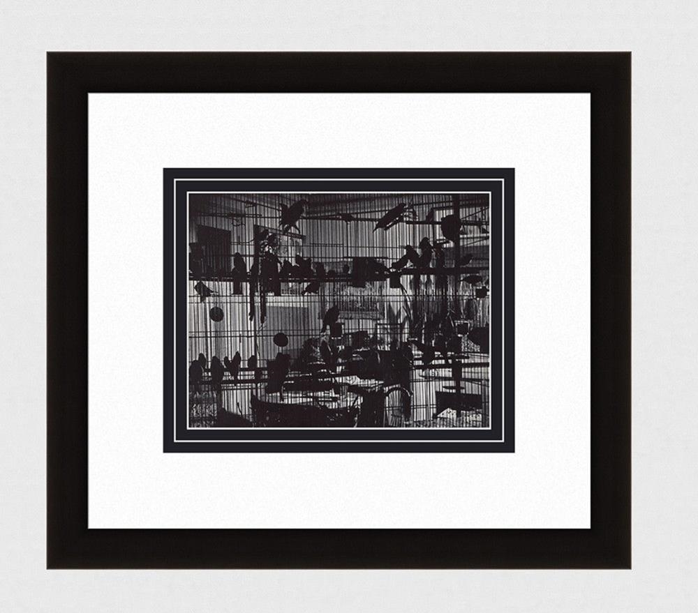 Brassaï | Henri Matisse's Aviary in his Paris Studio II (1937 - 1940 ...