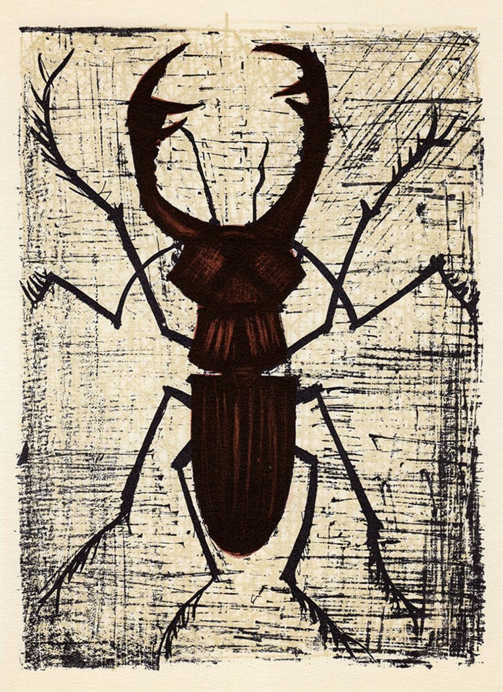Bernard Buffet | Bernard Buffet Stag Beetle 1967 lithograph | MutualArt