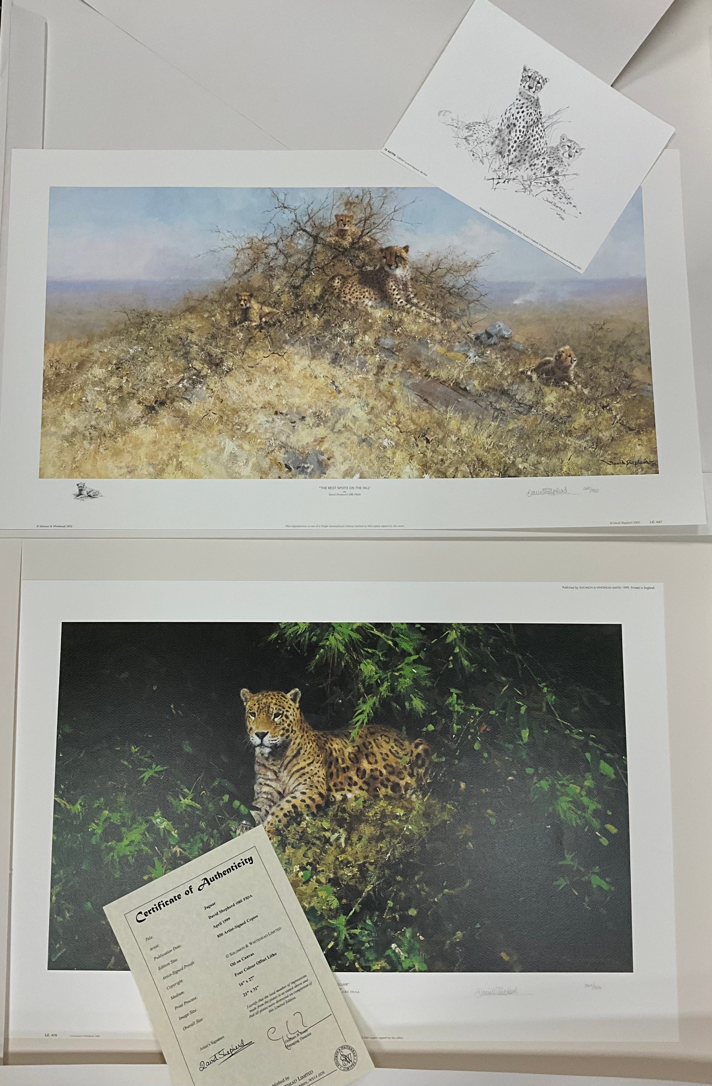 David Shepherd | ‘Best spots on the hill’ | MutualArt