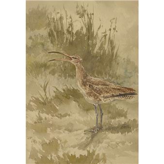 Richard Barrett Talbot Kelly | 134 Artworks at Auction | MutualArt