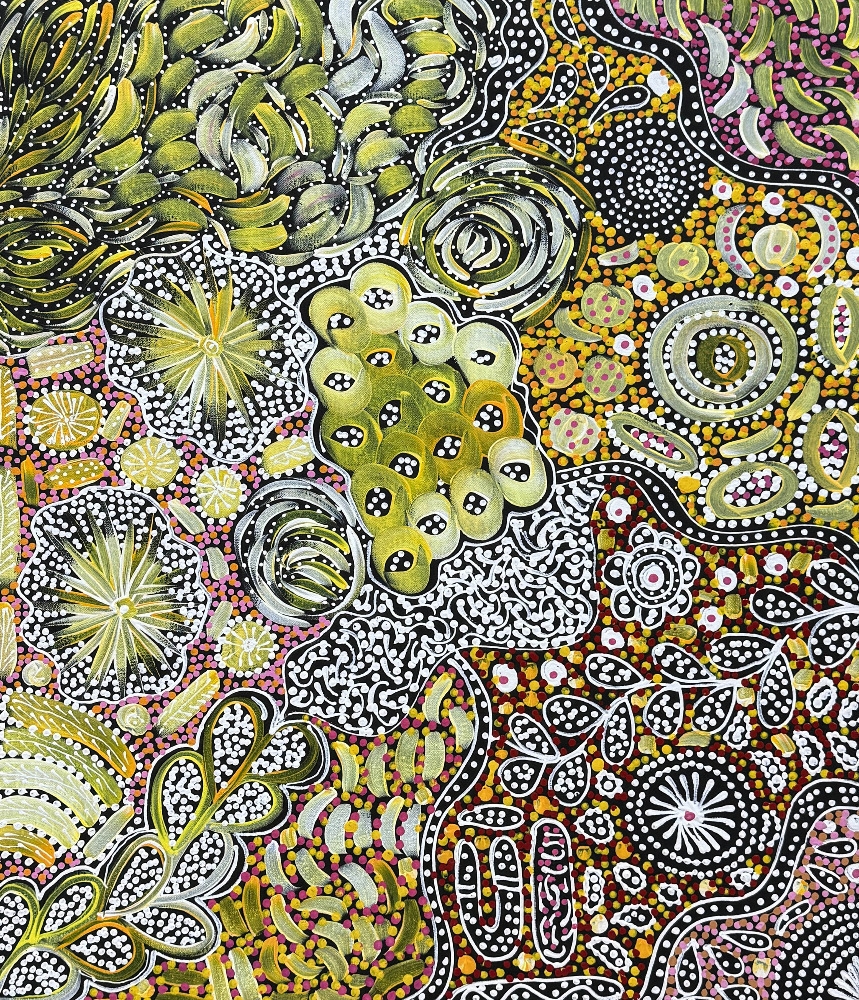 Janet Golder Kngwarreye | My Country | MutualArt