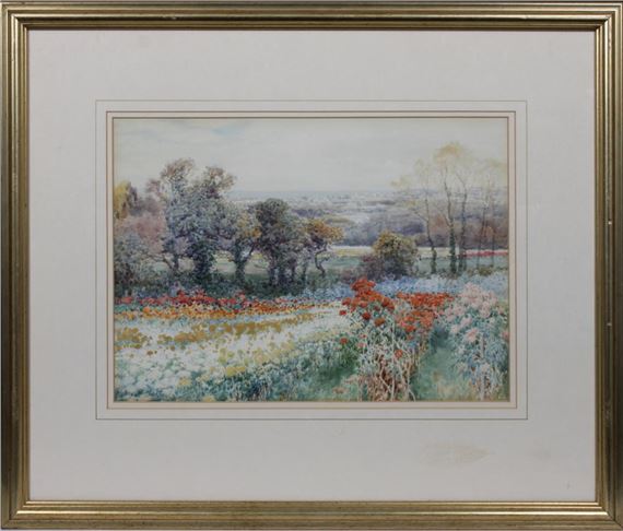 Henry Bowser Wimbush | Field of Chrysanthemums | MutualArt