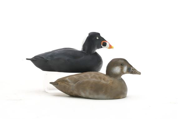 Doug Mason | Biography