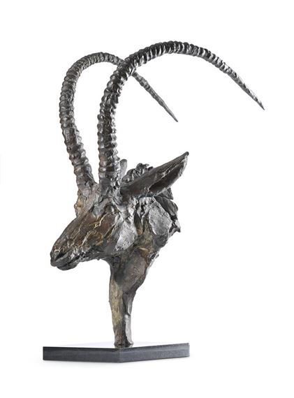 Mark Coreth | HEAD OF A SABLE ANTELOPE | MutualArt