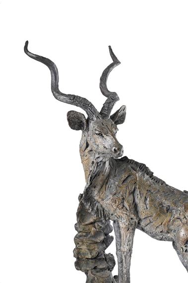 Hamish Mackie | KUDU (2016) | MutualArt