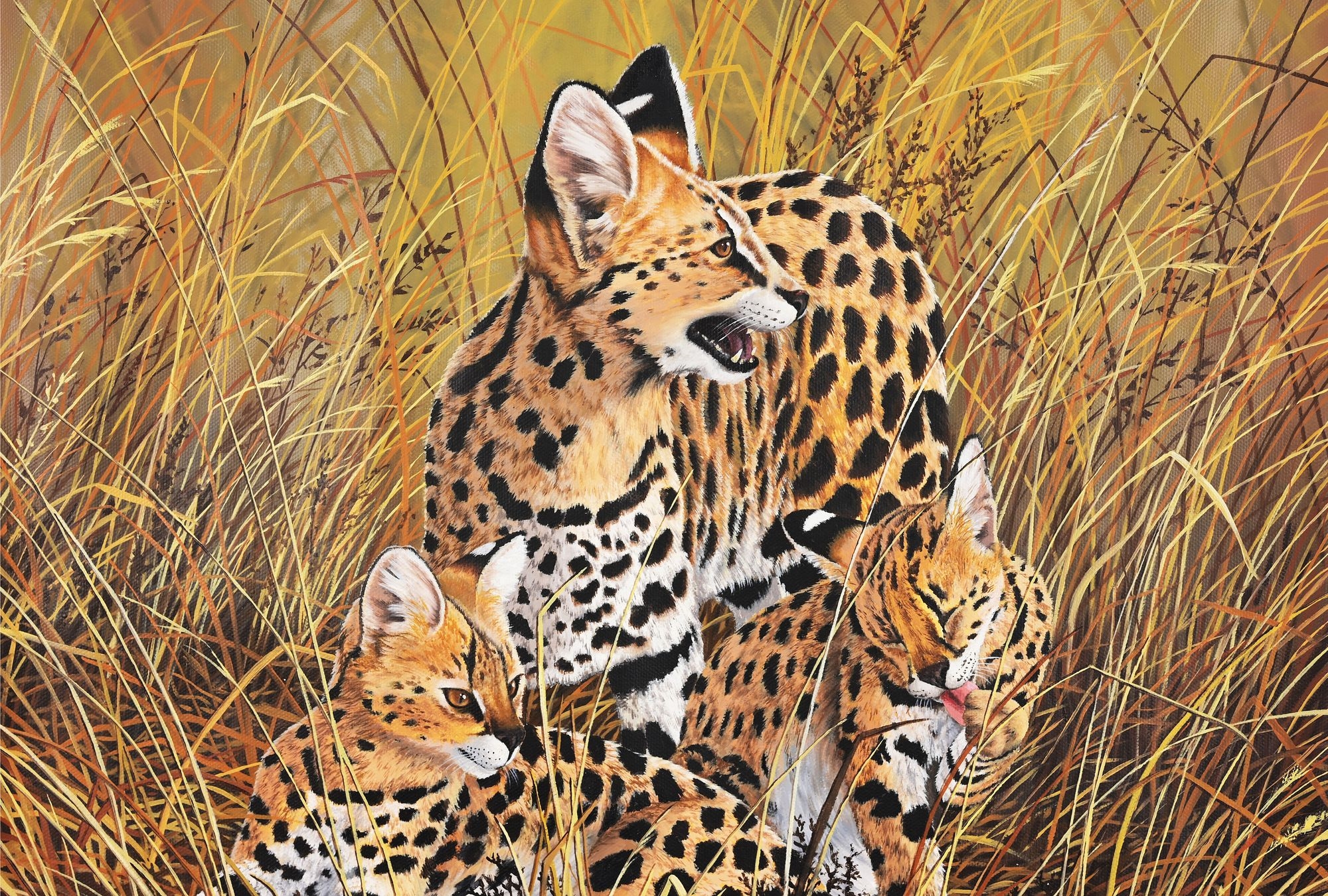 R.G. Finney | Serval / All Ears | MutualArt