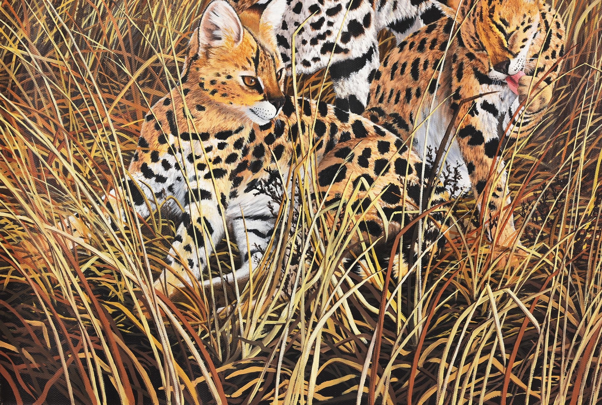 R.G. Finney | Serval / All Ears | MutualArt
