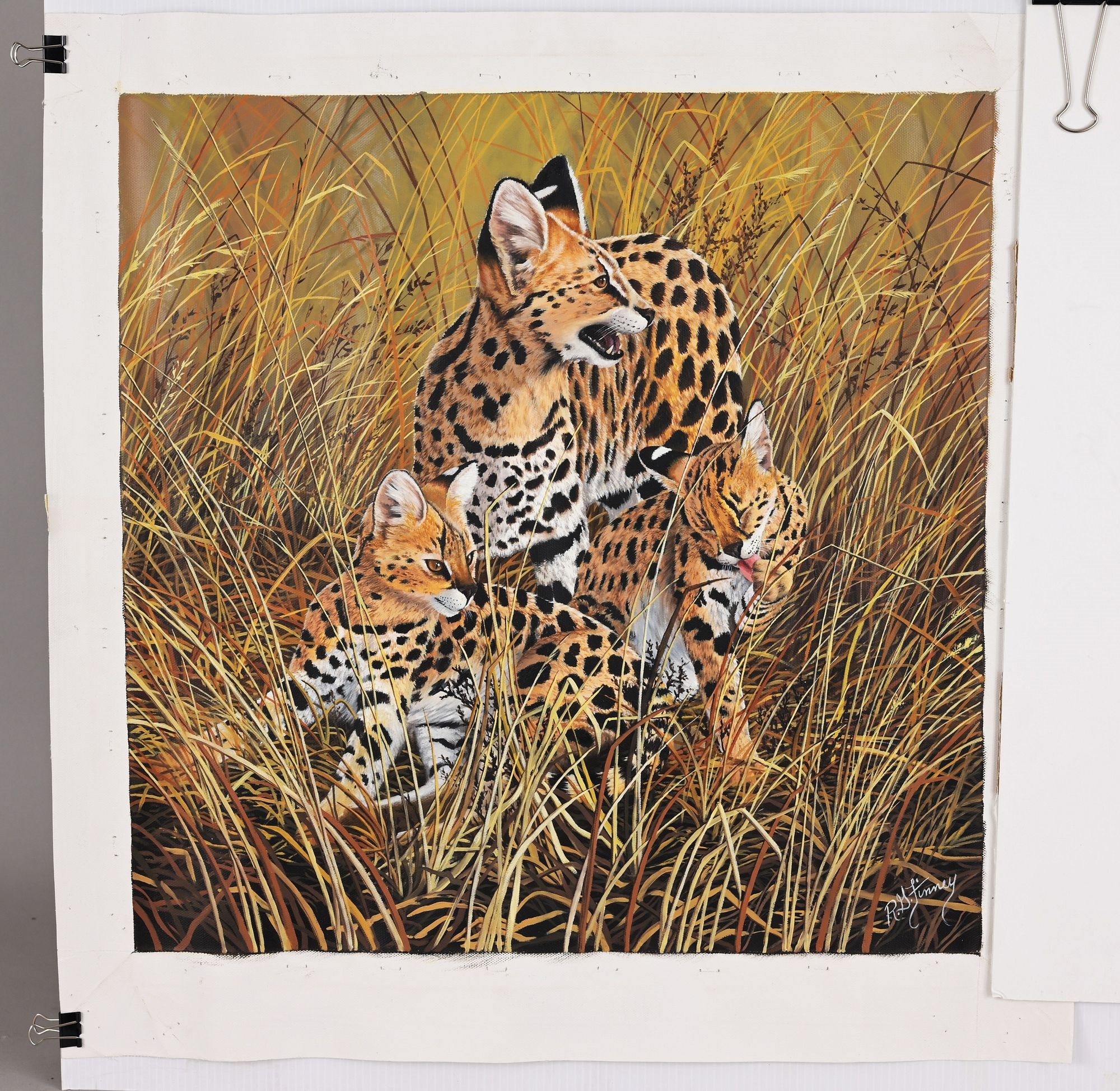 R.G. Finney | Serval / All Ears | MutualArt