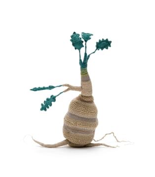 Peta Becker | 1 Artworks | MutualArt